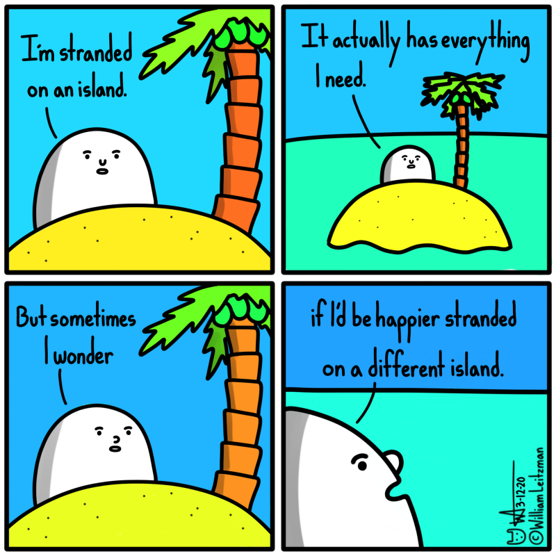 stranded on an island - William Leitzman